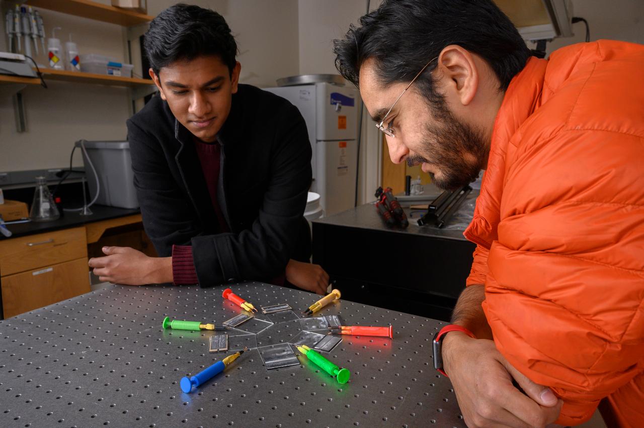 La modification génétique bientôt à la portée de tous